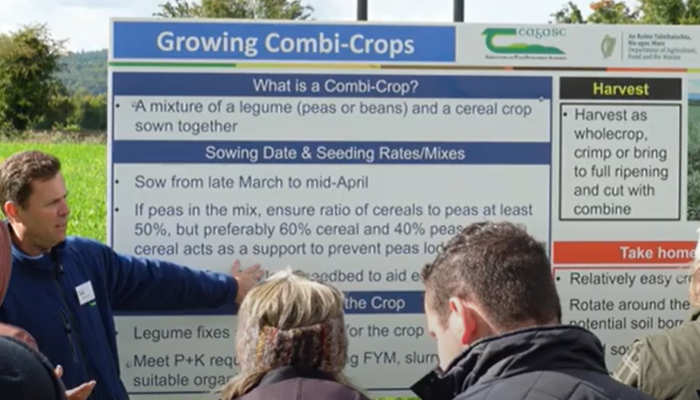 Combination Crops on Organic Farms - Teagasc | Agriculture and Food ...