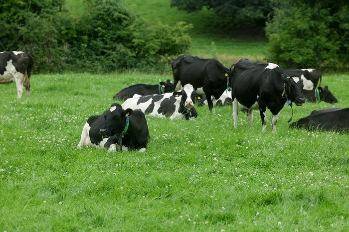 301 Moved Permanently