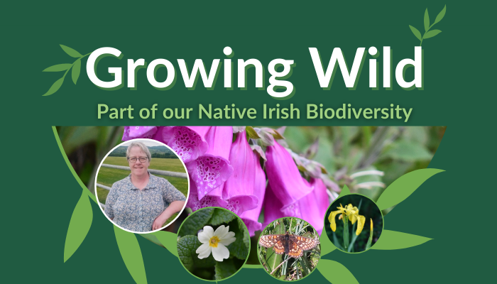 What plants are ‘Growing Wild’ in September? - Teagasc | Agriculture ...