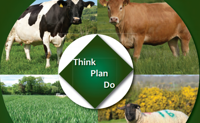 Creating a farm plan that secures your future in farming - Teagasc ...