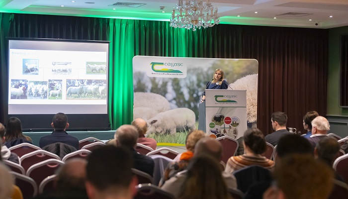 Producing lamb on an organic farm in Co. Tipperary - Teagasc ...