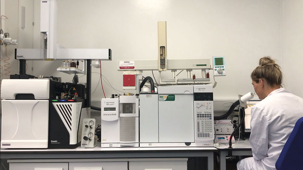 On the scent: the aroma of raw milk - Teagasc | Agriculture and Food ...