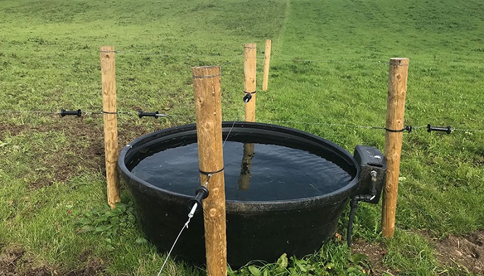 Water requirements for beef cattle - Teagasc | Agriculture and Food ...