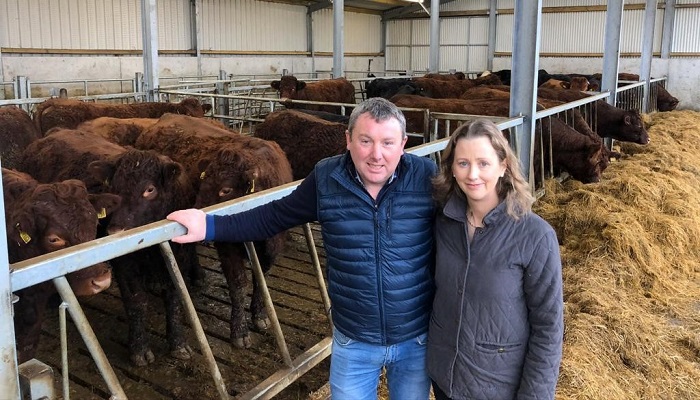 Watch: Achieving compact calving with Future Beef Farmer Shane Keaveney ...