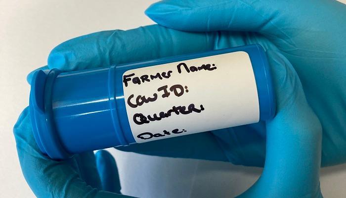 How to take a sterile milk sample for culture and sensitivity - Teagasc ...