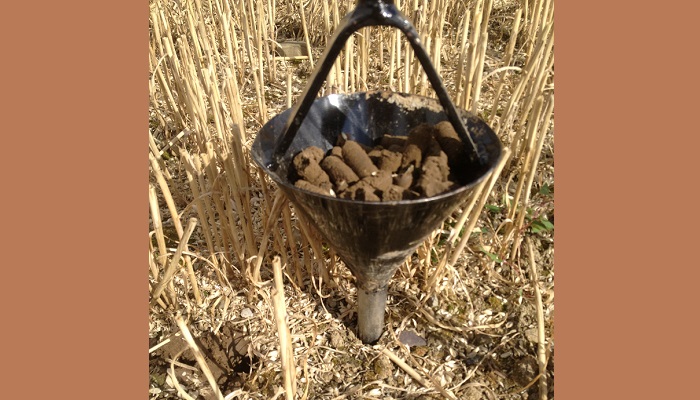 Time for Soil Sampling - Teagasc | Agriculture and Food Development ...