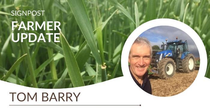 Harvest reflections with Signpost Tillage farmer, Tom Barry - Teagasc ...