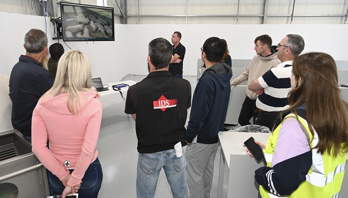 Comprehensive research programme showcased at Teagasc Pig Open Day ...