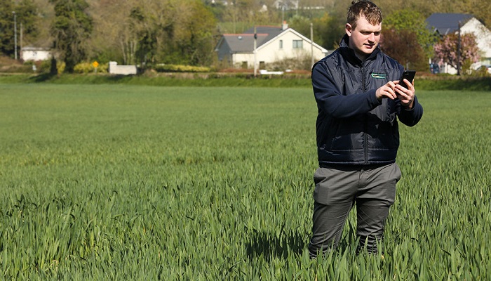 Weed watch - Teagasc | Agriculture and Food Development Authority