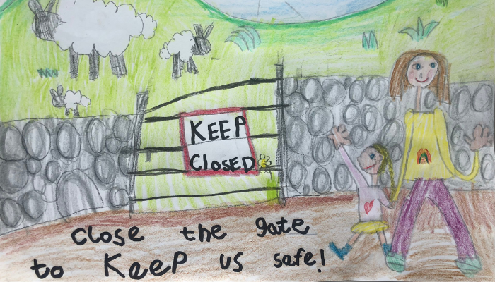 Jessy’s Farm Safety Art Competition Winners - Teagasc | Agriculture and ...
