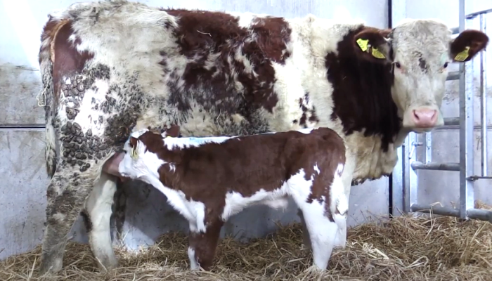 301 Moved Permanently