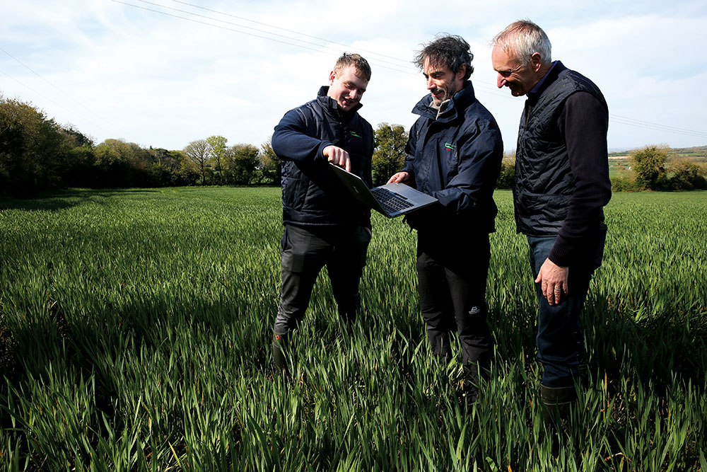 Weed watch - Teagasc | Agriculture and Food Development Authority