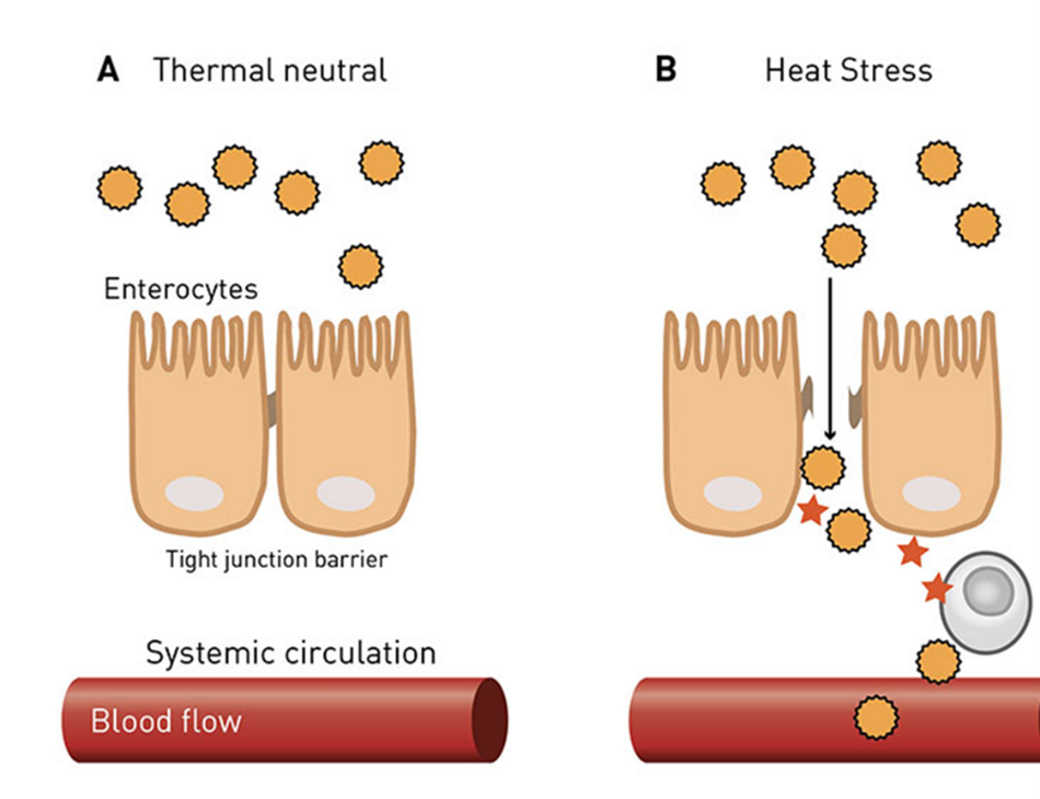 301 Moved Permanently