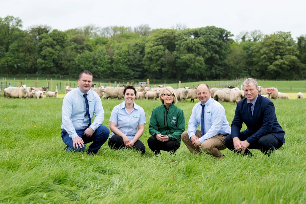Teagasc announce details of ‘Virtual Pig Week’ - Teagasc | Agriculture ...