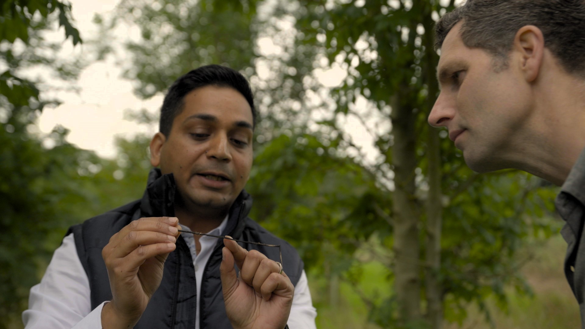 10 Things to Know About… Trees - Teagasc | Agriculture and Food ...