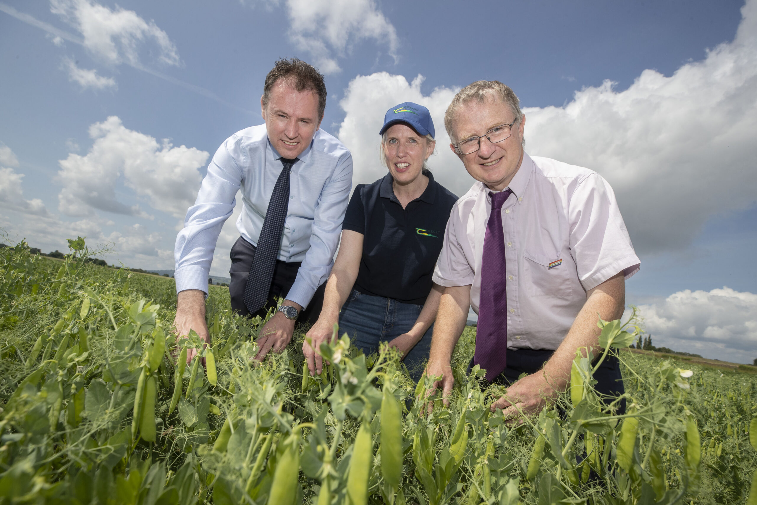 Teagasc Crops Open Day Highlights - Teagasc | Agriculture and Food ...