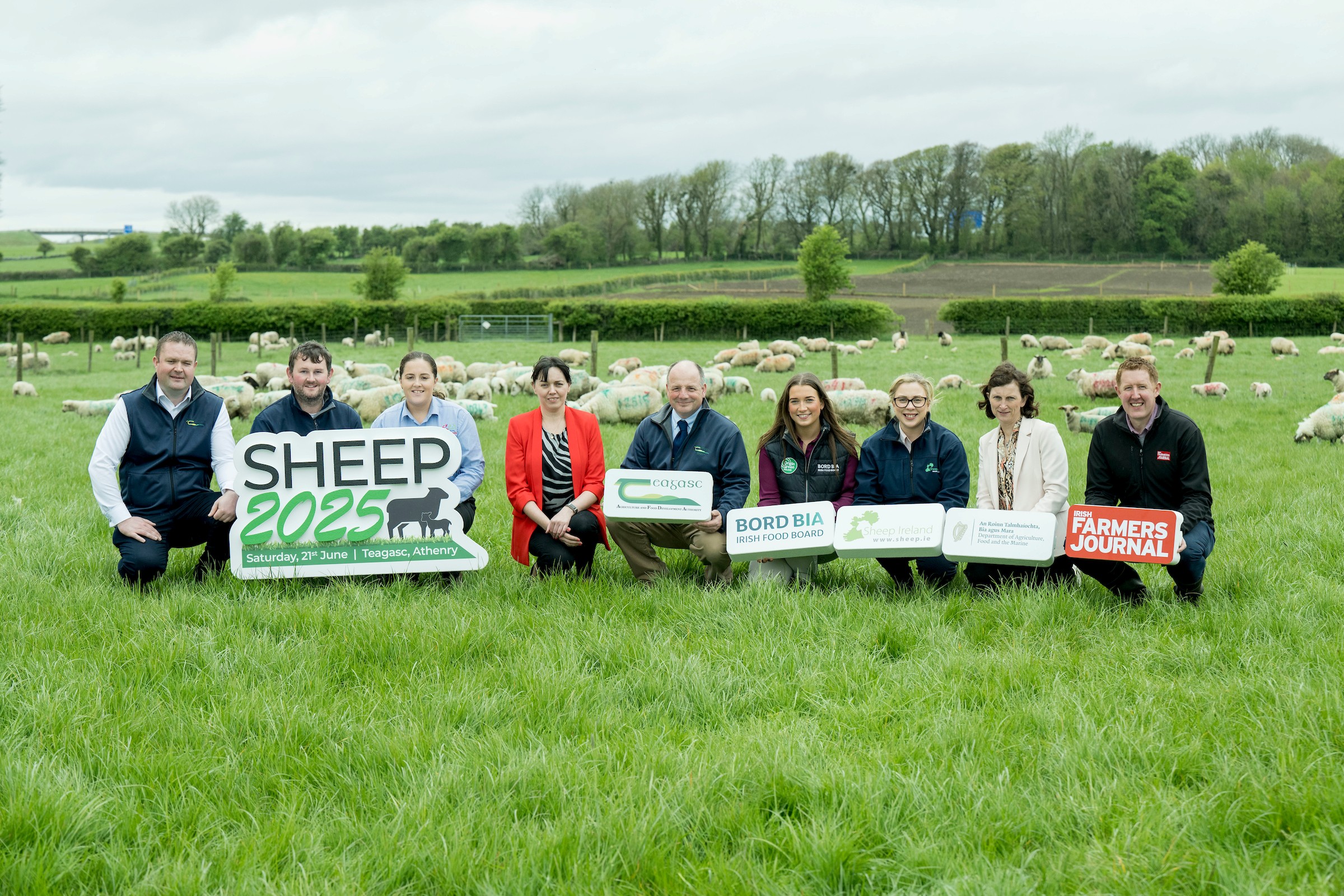 Sheep 2025 Open Day: An Exciting Look into the Future of Sheep Farming ...