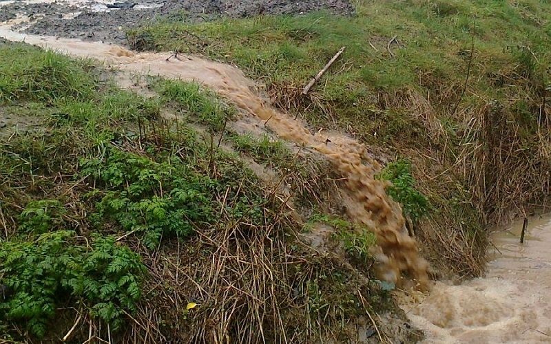 SMARTER_BufferZ- Right measure:Right Place - Teagasc | Agriculture and ...