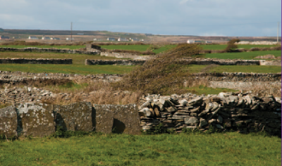 Dry Stone Wall Building - Teagasc | Agriculture and Food Development ...