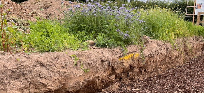 301 Moved Permanently