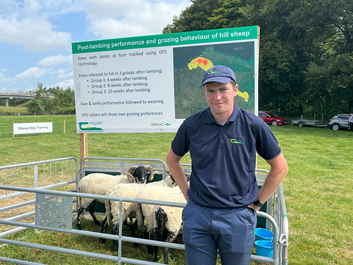Sheep 2025: Deepening the understanding of hill sheep grazing patterns ...