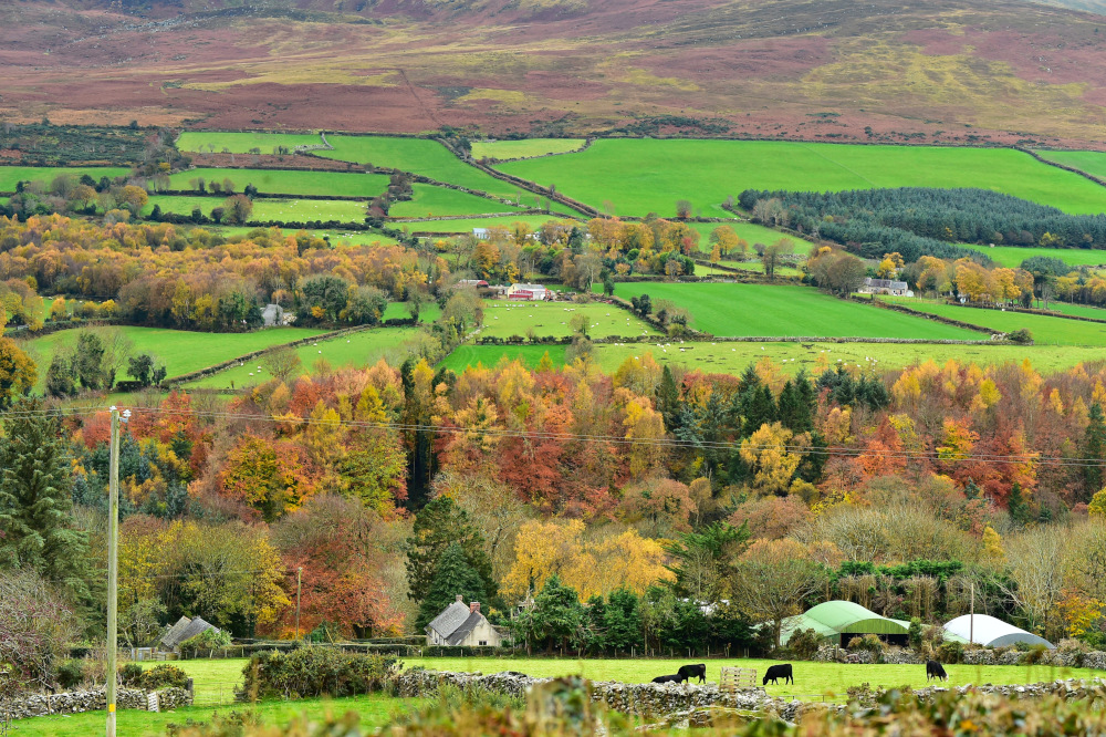Forestry One to one clinics this Autumn focusing on post storm ...
